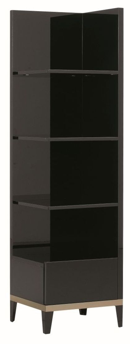 Black high gloss bookcase store