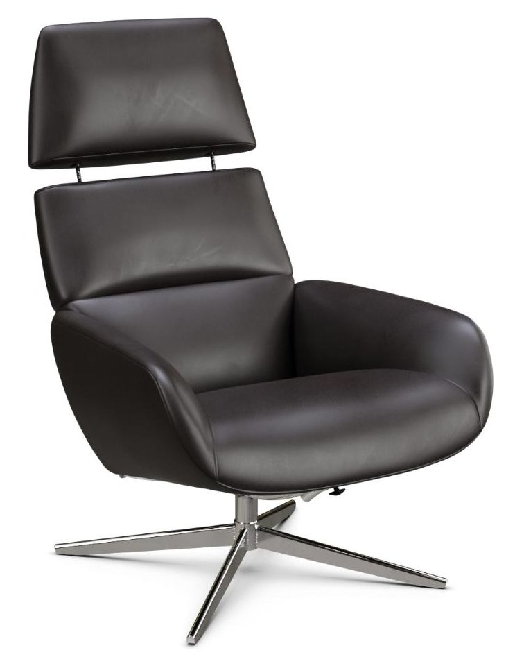Ergo Plus Balder Dark Brown Leather Swivel Recliner Chair - CFS UK
