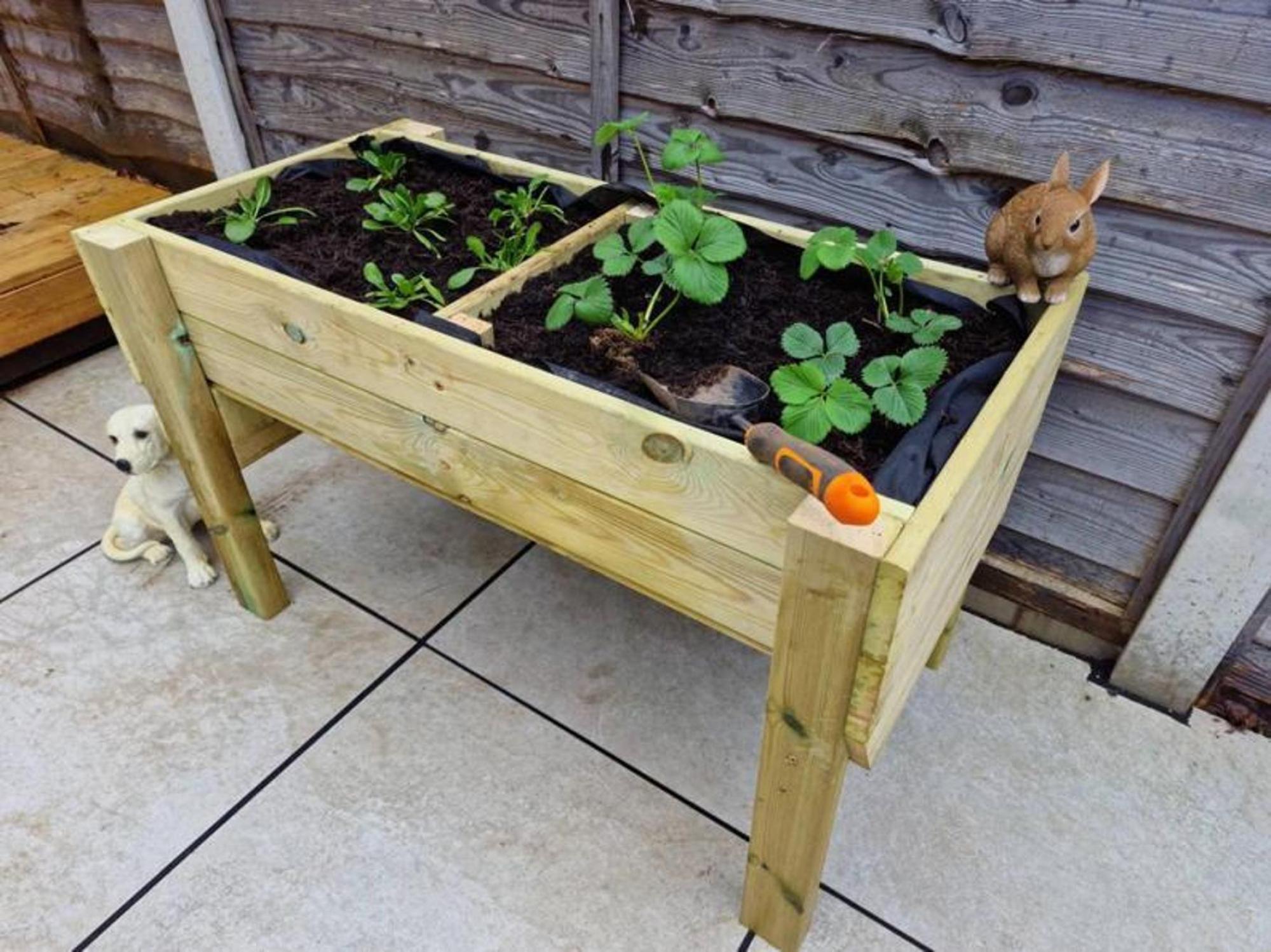 Churnet Valley Raised Vegetable Garden Planter - CFS UK